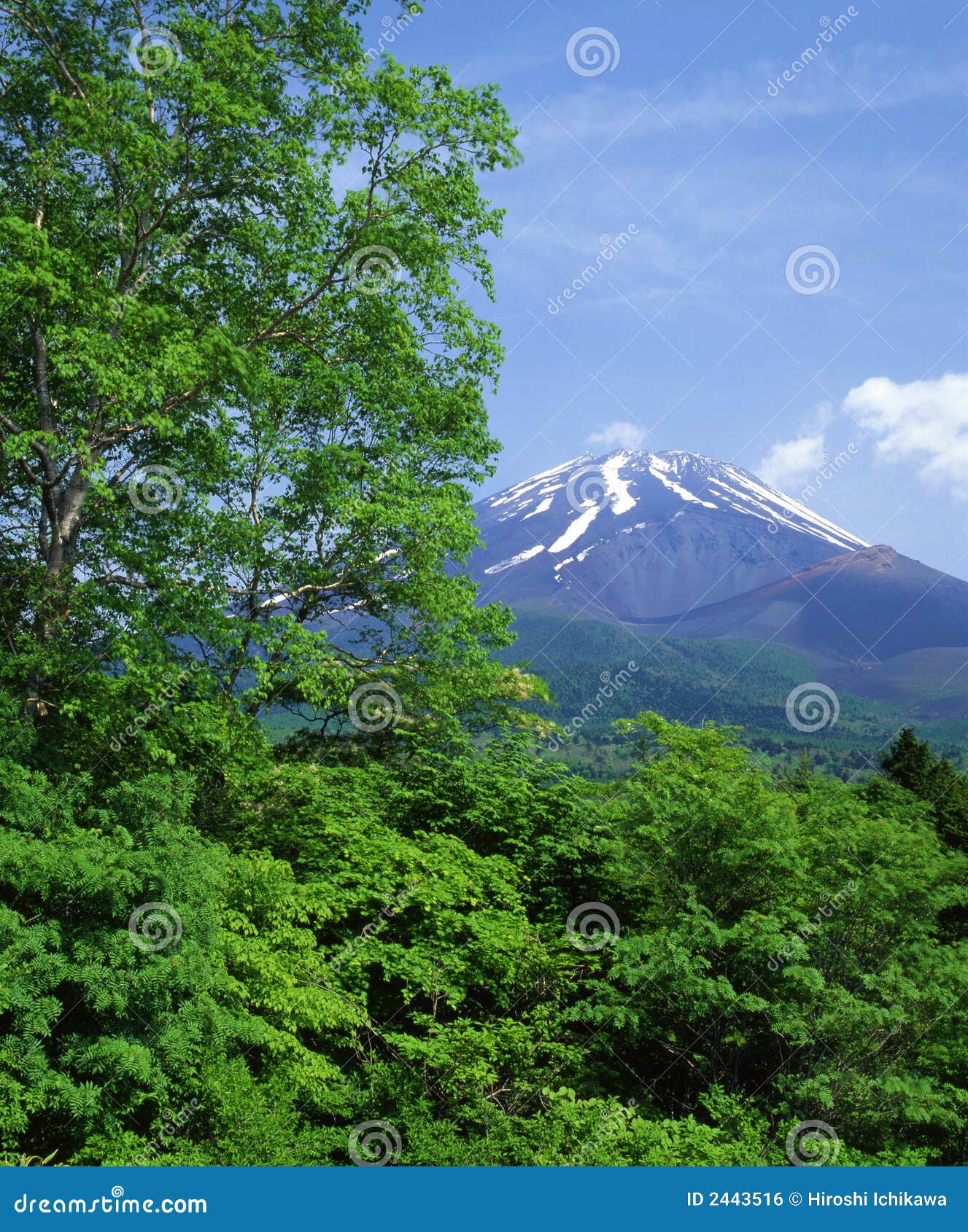 Mount Fuji stock photo. Image of summer, snow, japanese - 2443516
