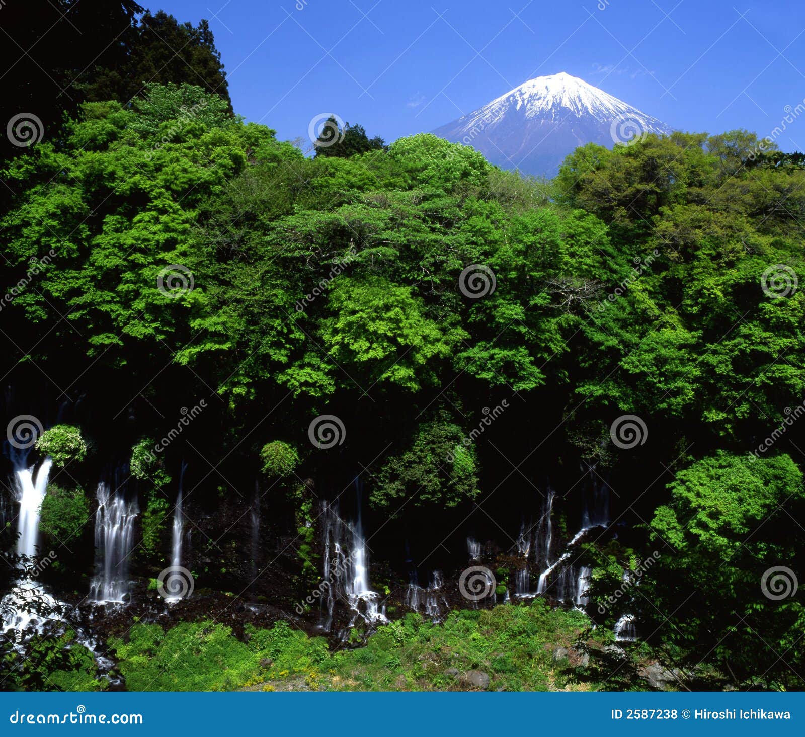 Mount Fuji stock photo. Image of asia, scenery, leaves - 2587238