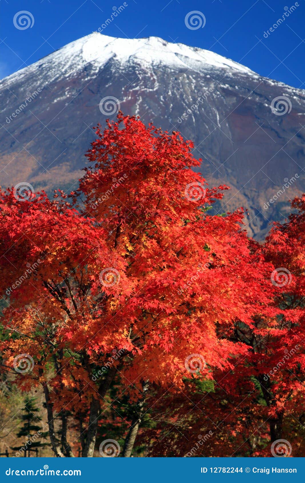 Mount Fuji in Fall stock photo. Image of colors, landscape - 12782244