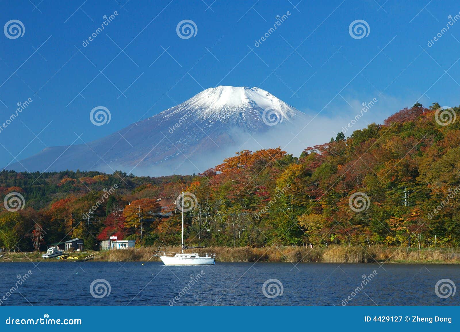 Mount Fuji in fall 2 stock image. Image of landscape, white - 4429127