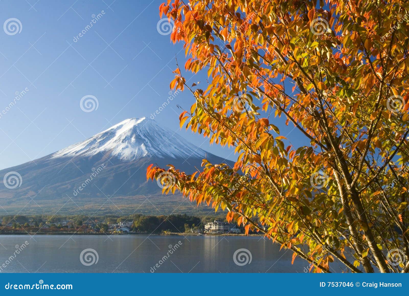 Mount Fuji in Fall IX stock photo. Image of majestic, blue - 7537046