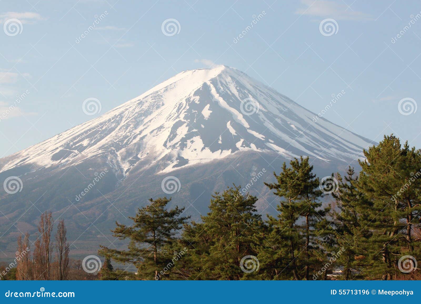 Mount Fuji and Green Pine Trees. Stock Photo - Image of cloud, traveler ...