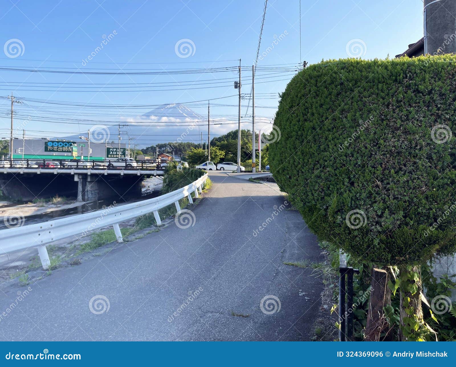 Mount Fuji in the Japanese Province,bush Stock Photo - Image of forest ...