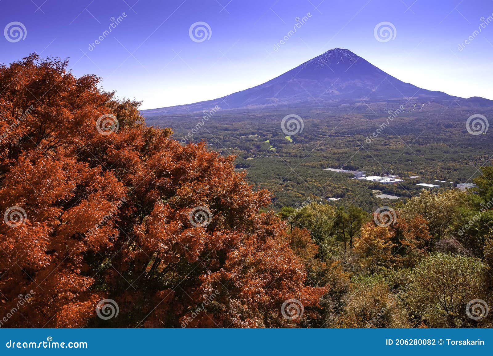 Mount Fuji with Large Maple Trees is Turning Red Stock Photo - Image of ...