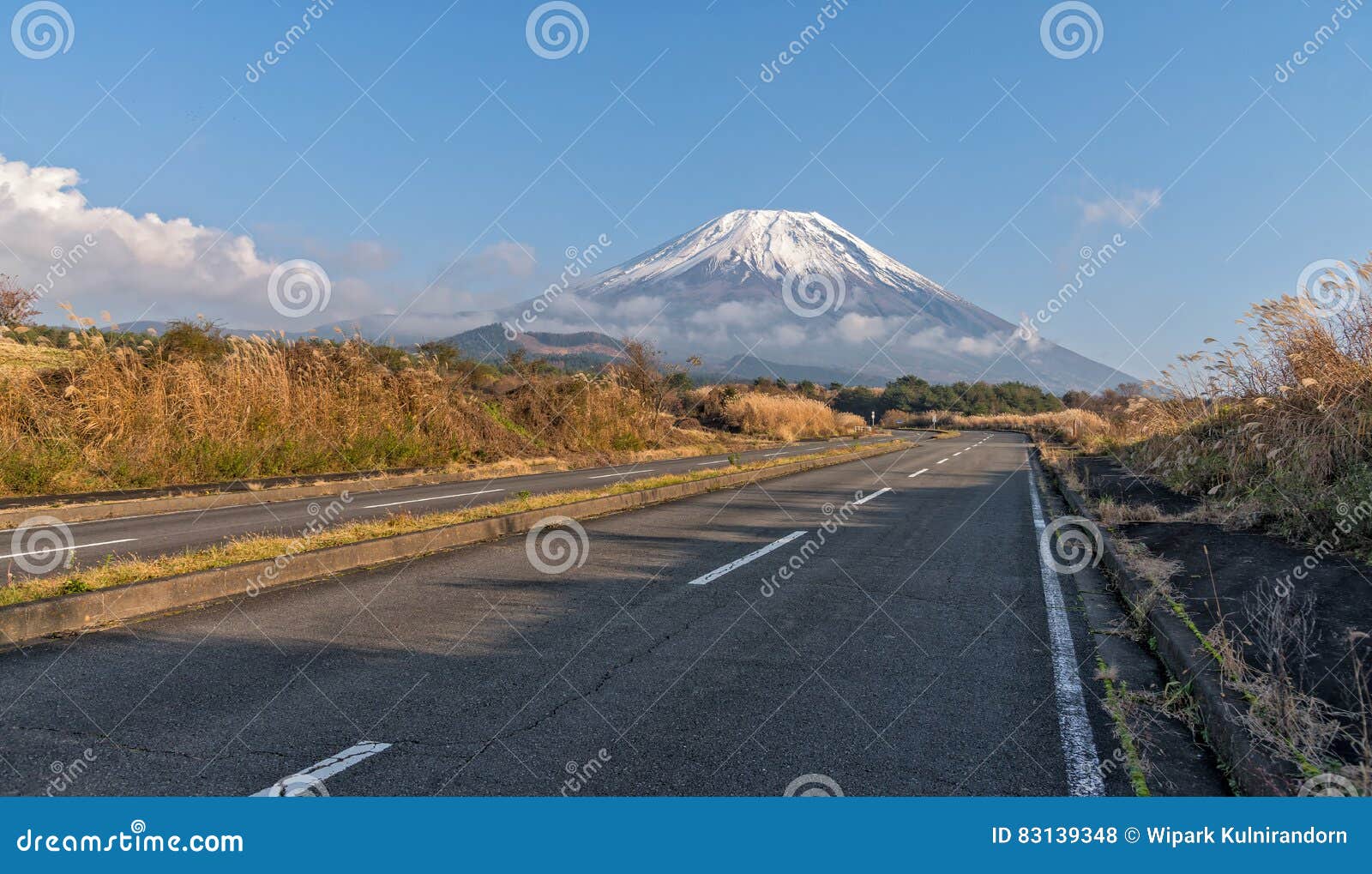 Mount Fuji with road stock photo. Image of fujisan, fall - 83139348