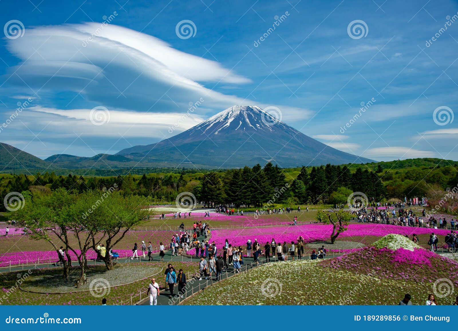Mount Fuji in Spring editorial photo. Image of fuji - 189289856