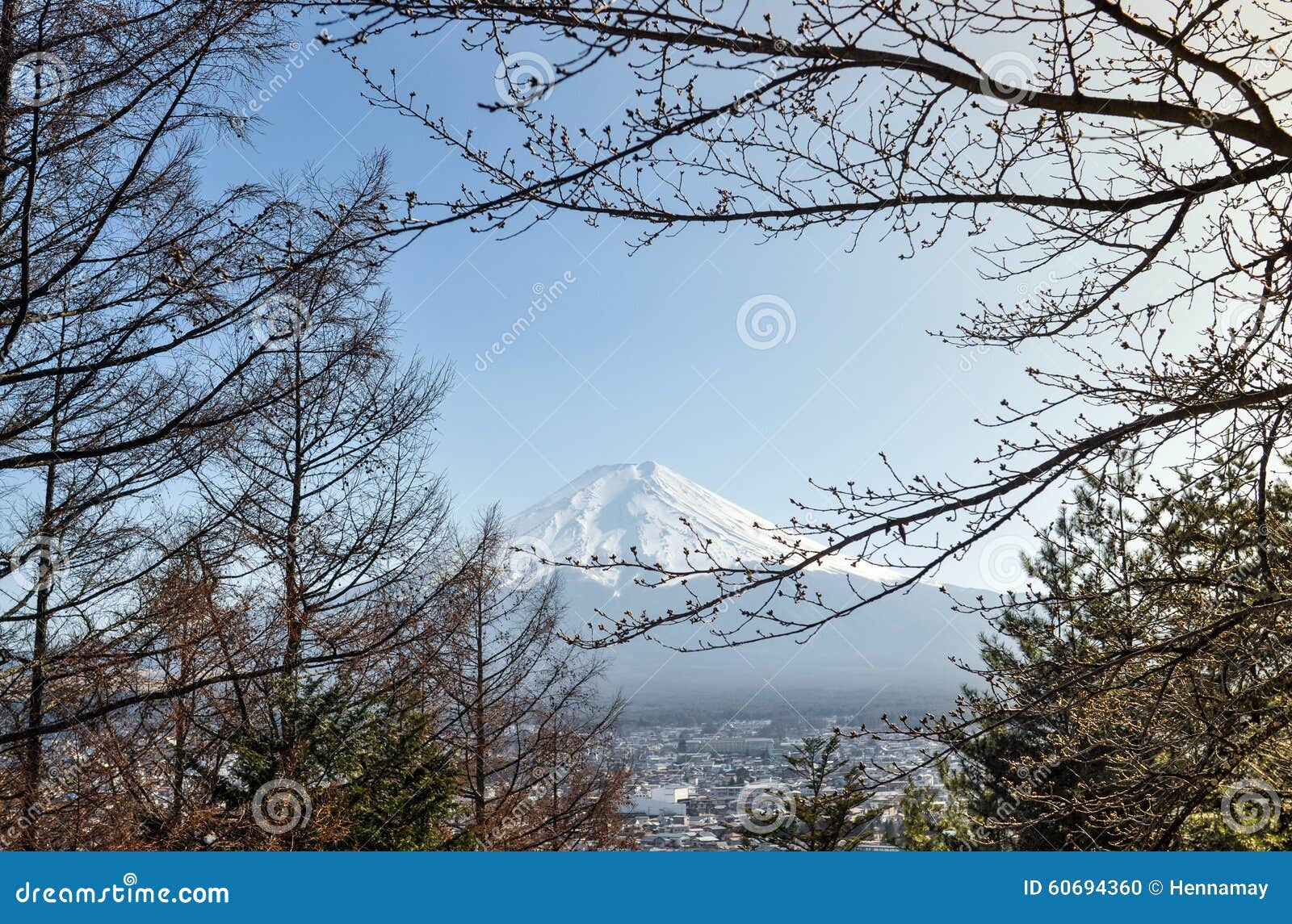 Mount Fuji View with Branches of Tree in Japan Stock Photo - Image of ...