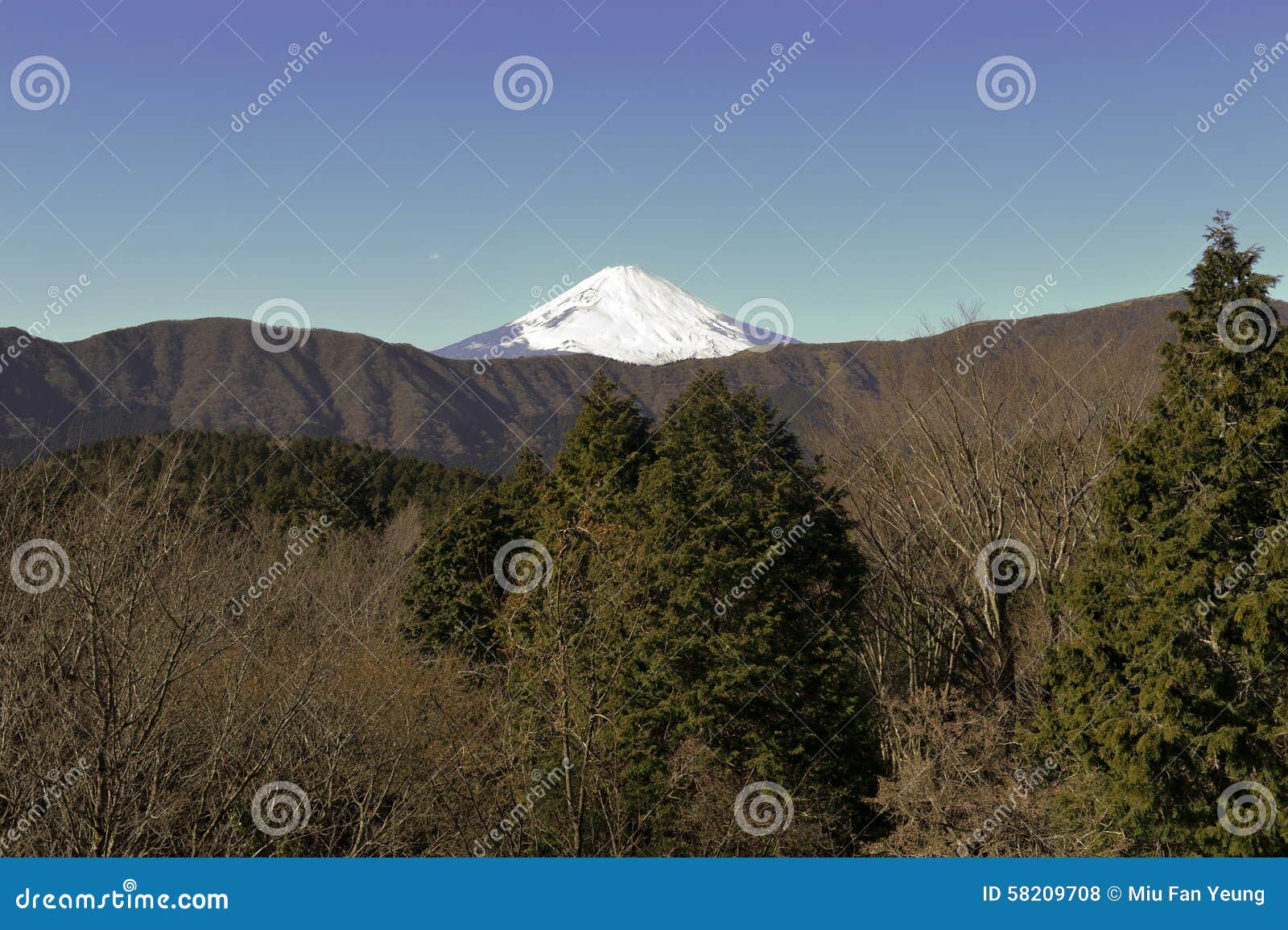 Mount Fuji in Winter stock photo. Image of january, trees - 58209708