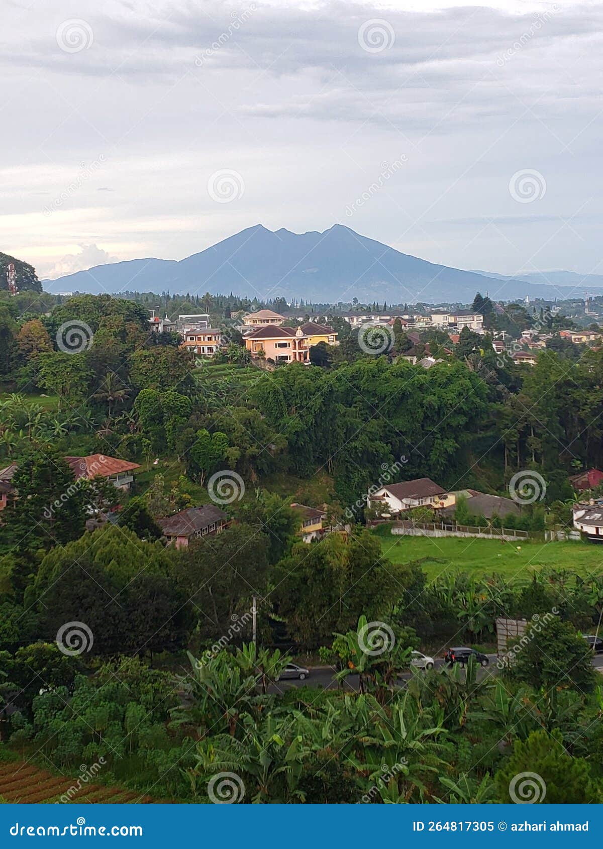 Mount gede stock image. Image of pangrango, gede, indonesia - 264817305