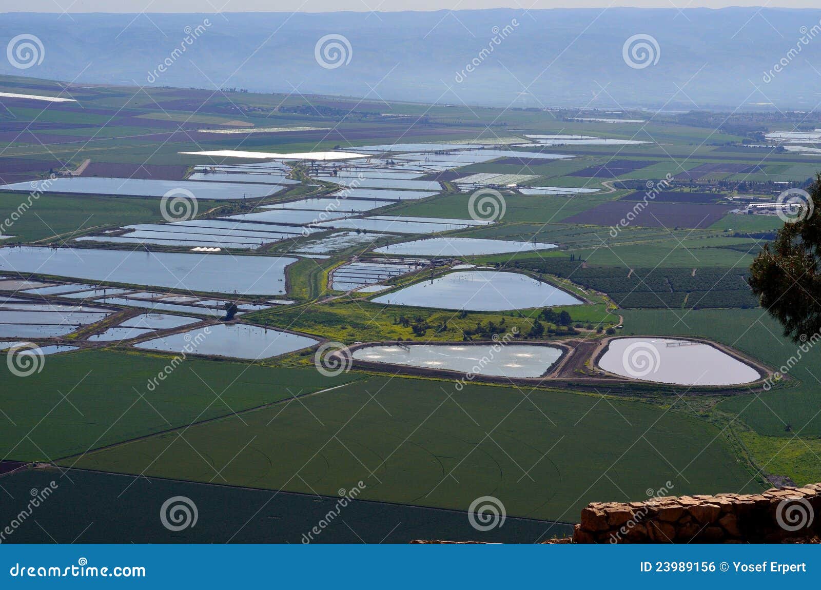 Mount Gilboa stock photo. Image of view, king, ponds - 23989156
