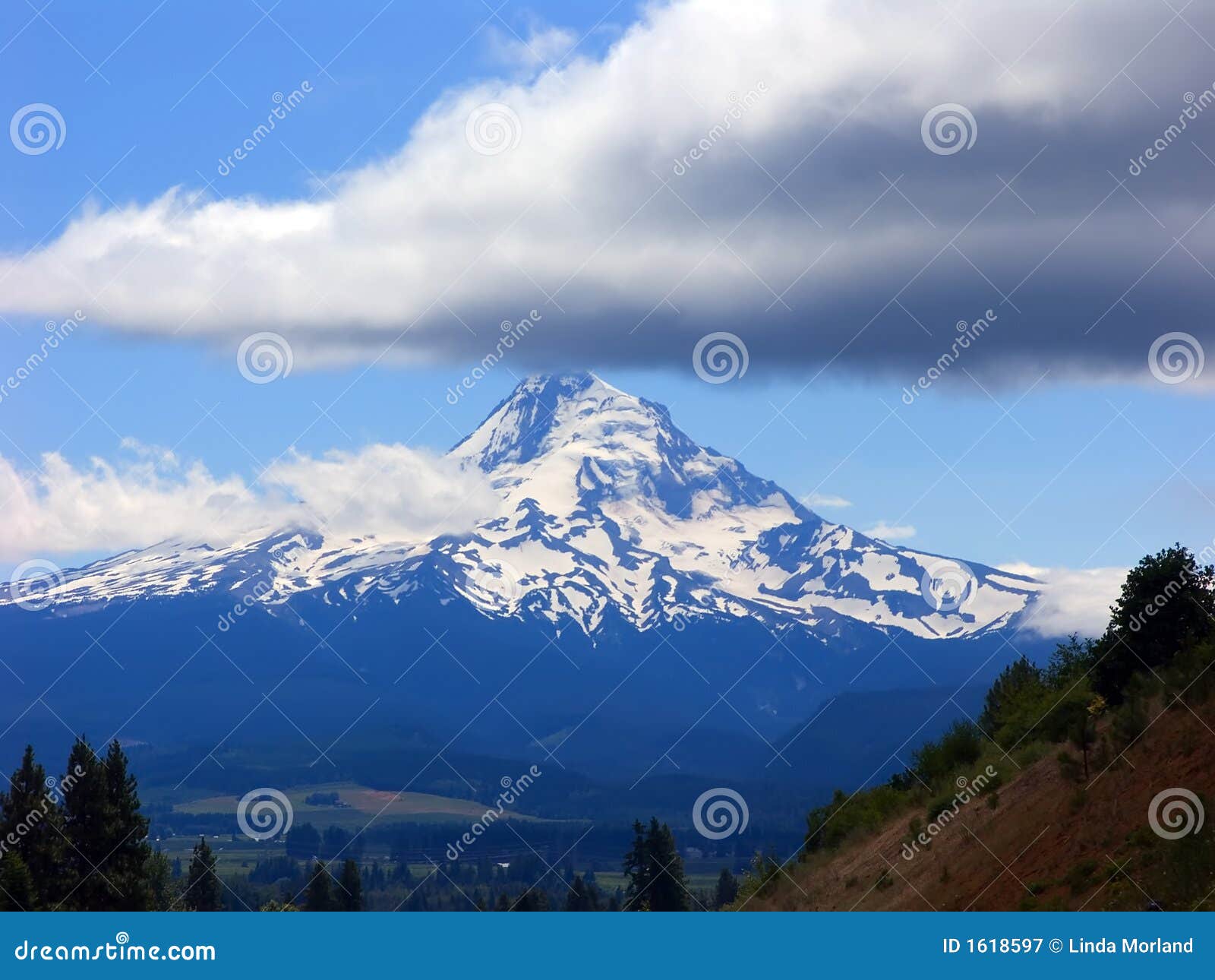 Mount Hood stock image. Image of american, stratovolcano - 1618597