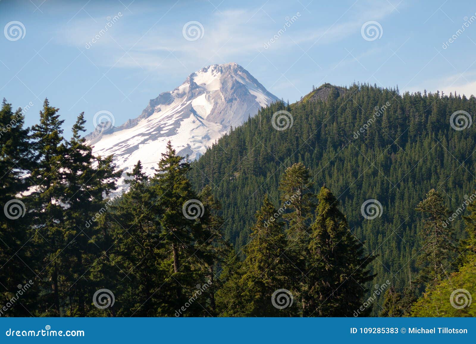Mount Hood Mountain and National Forest Stock Image - Image of national ...