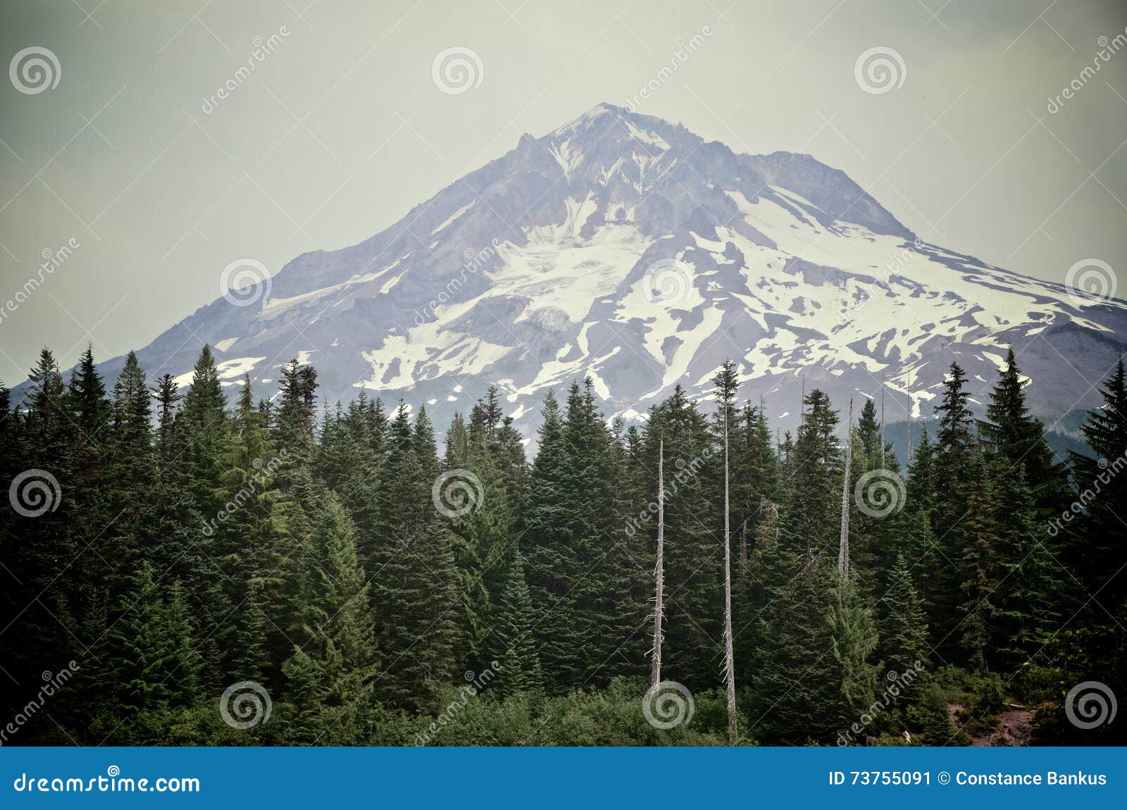 Mount Hood Profile stock image. Image of hill, mount - 73755091