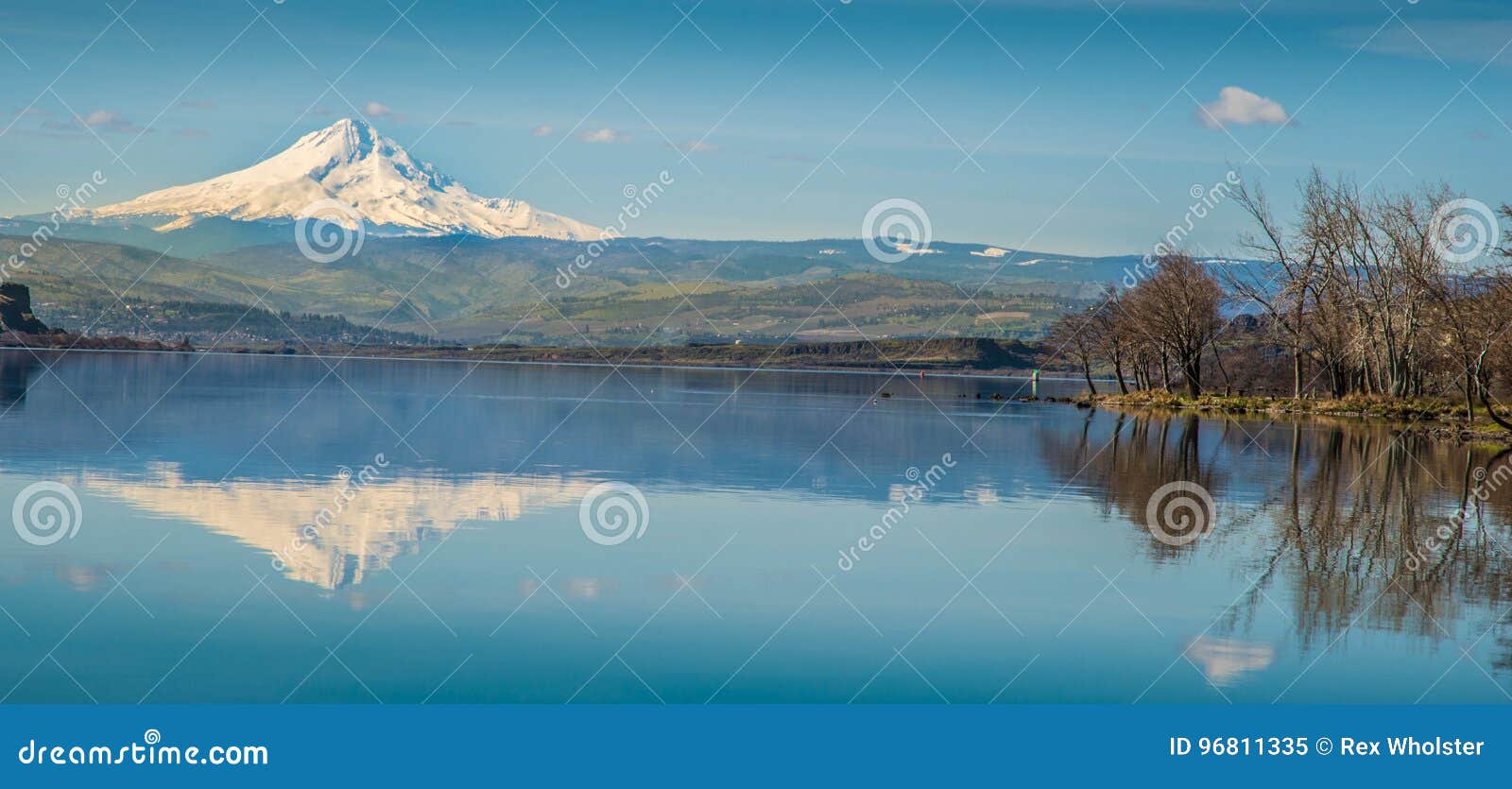 Mount Hood Reflection in the Columbia River Stock Image - Image of ...