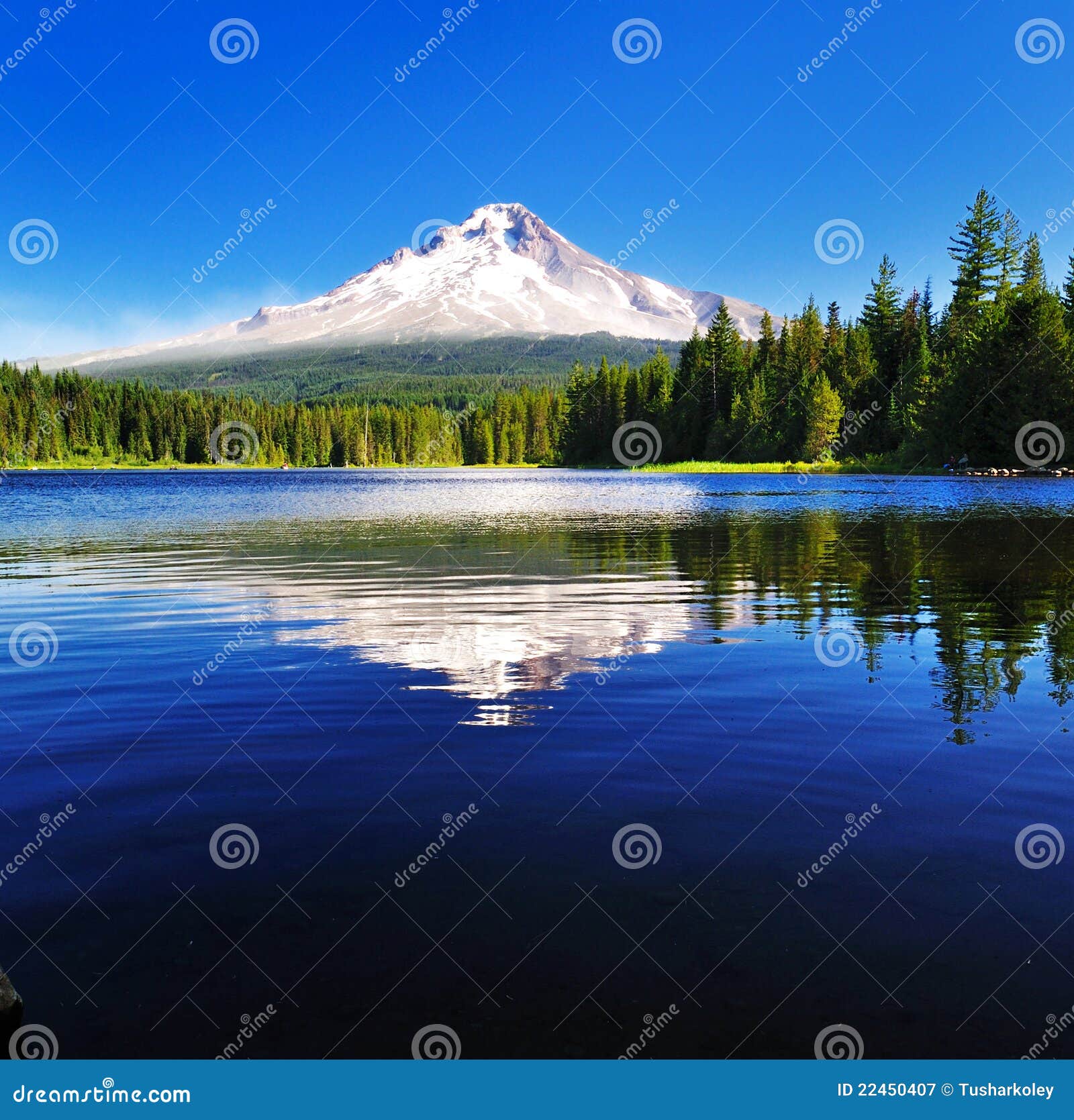 The Mount Hood Reflection in Trillium Lake Stock Image - Image of ...