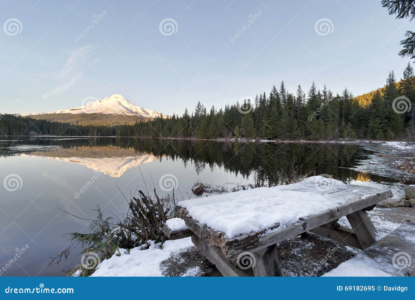 Mount Hood Reflection on Trillium Lake Stock Image - Image of forest ...