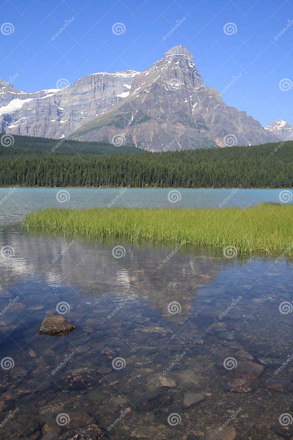 Mount Howse stock photo. Image of trees, scenic, rockies - 11464966
