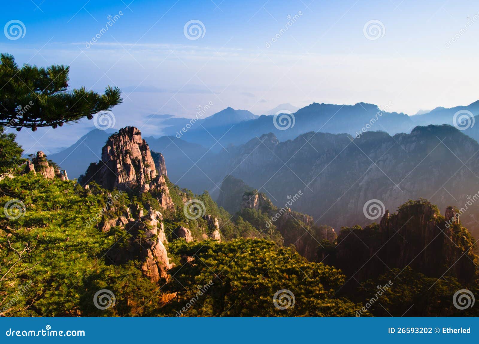 Mount huangshan stock photo. Image of blue, mount, tree - 26593202