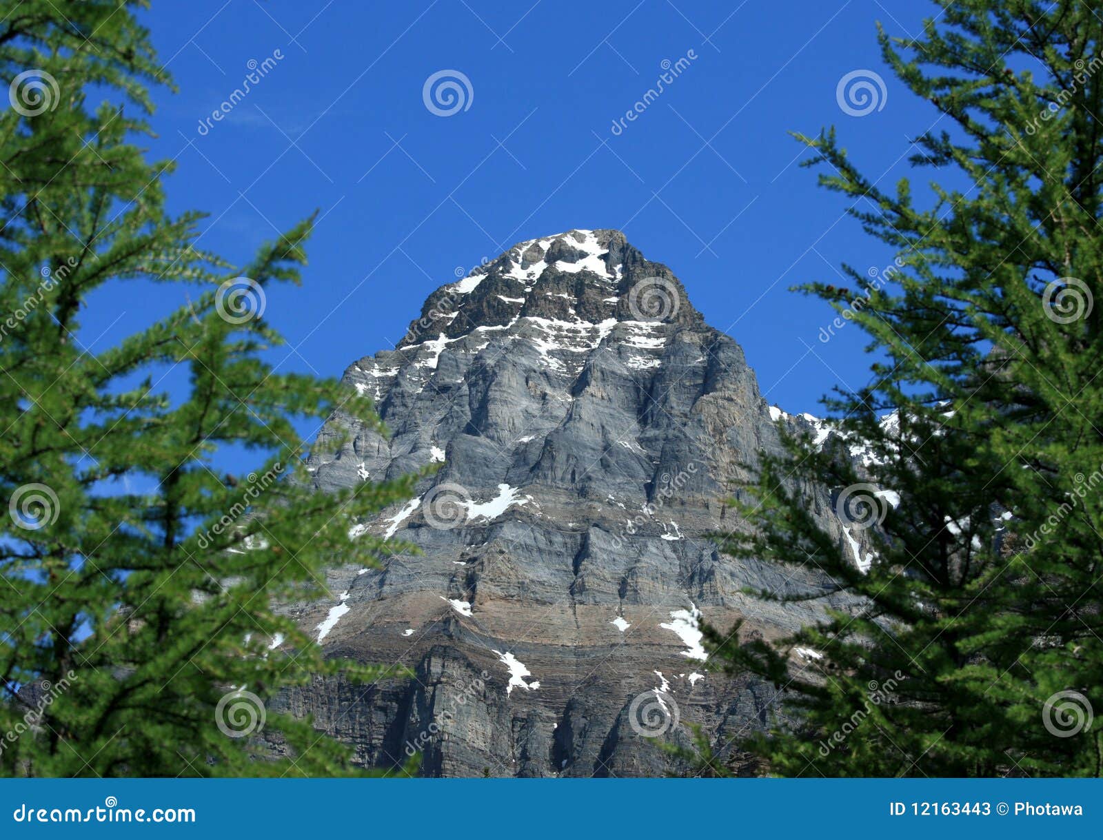 Mount Huber between Trees stock image. Image of outdoors - 12163443