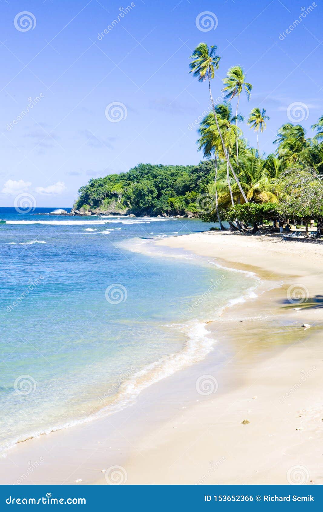 Mount Irvine Bay, Tobago stock photo. Image of islands - 153652366