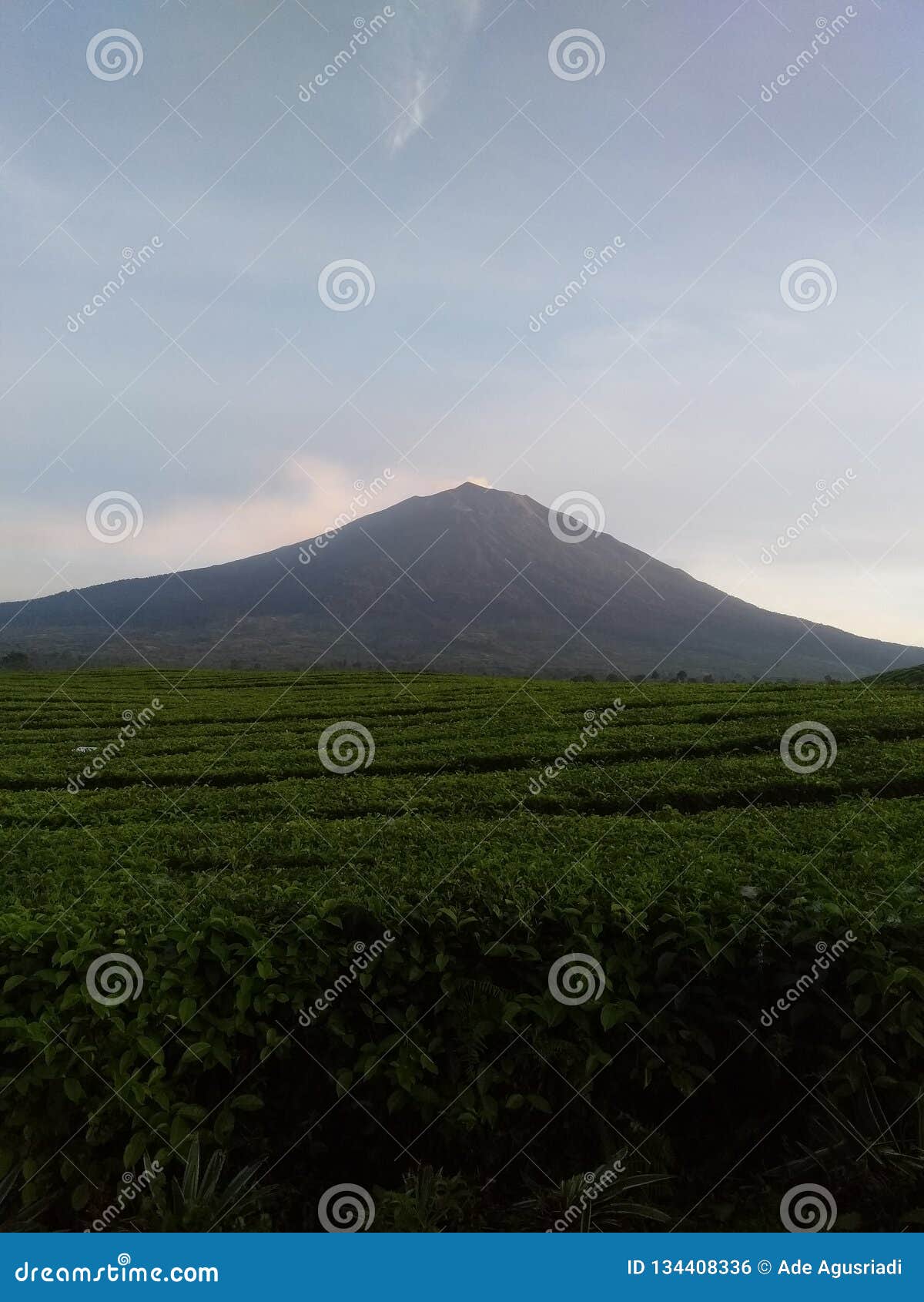 Mount stock photo. Image of highest, sumatra, mountain - 134408336