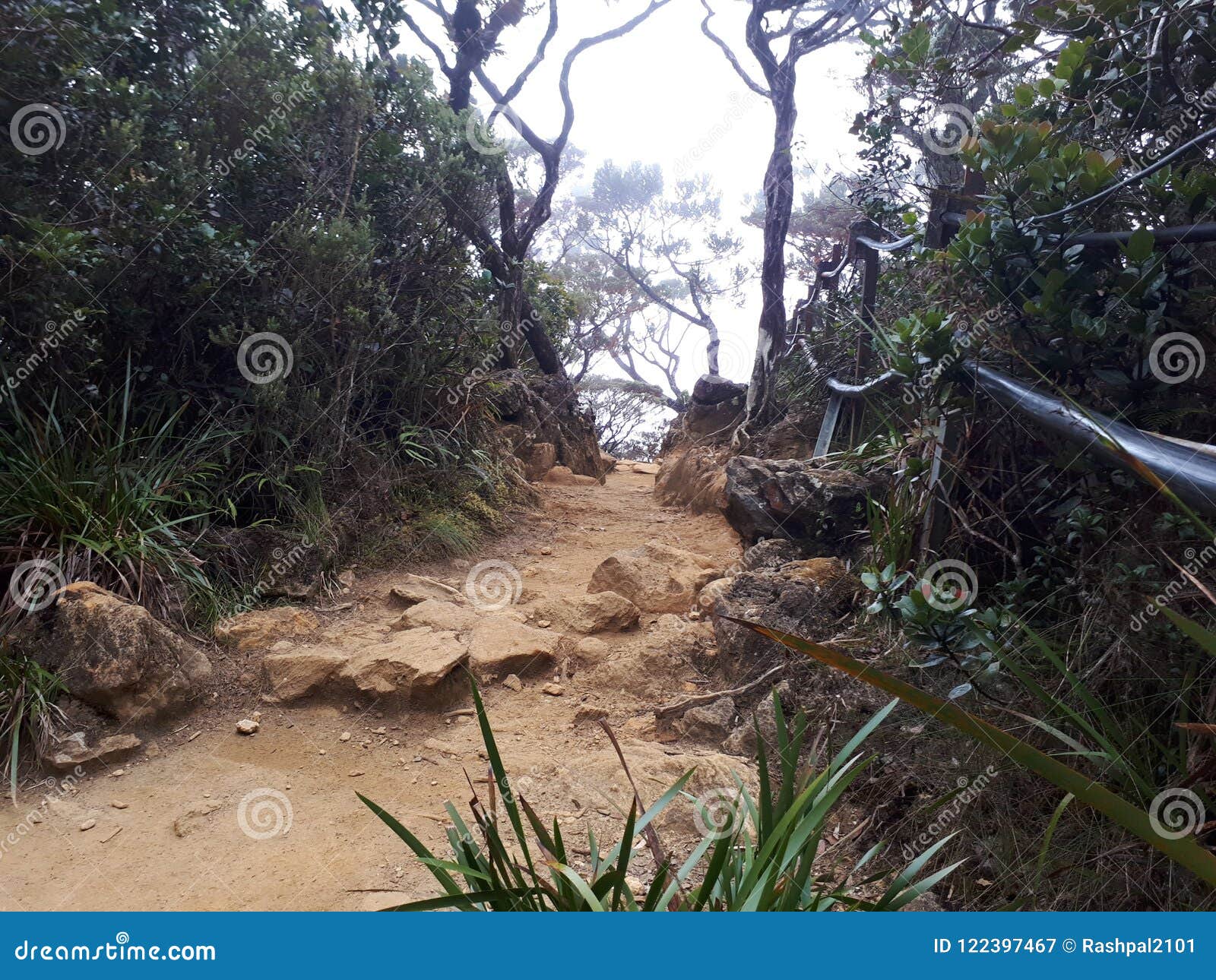 Mount Kinabalu Hiking Trail Stock Image - Image of nature, high: 122397467