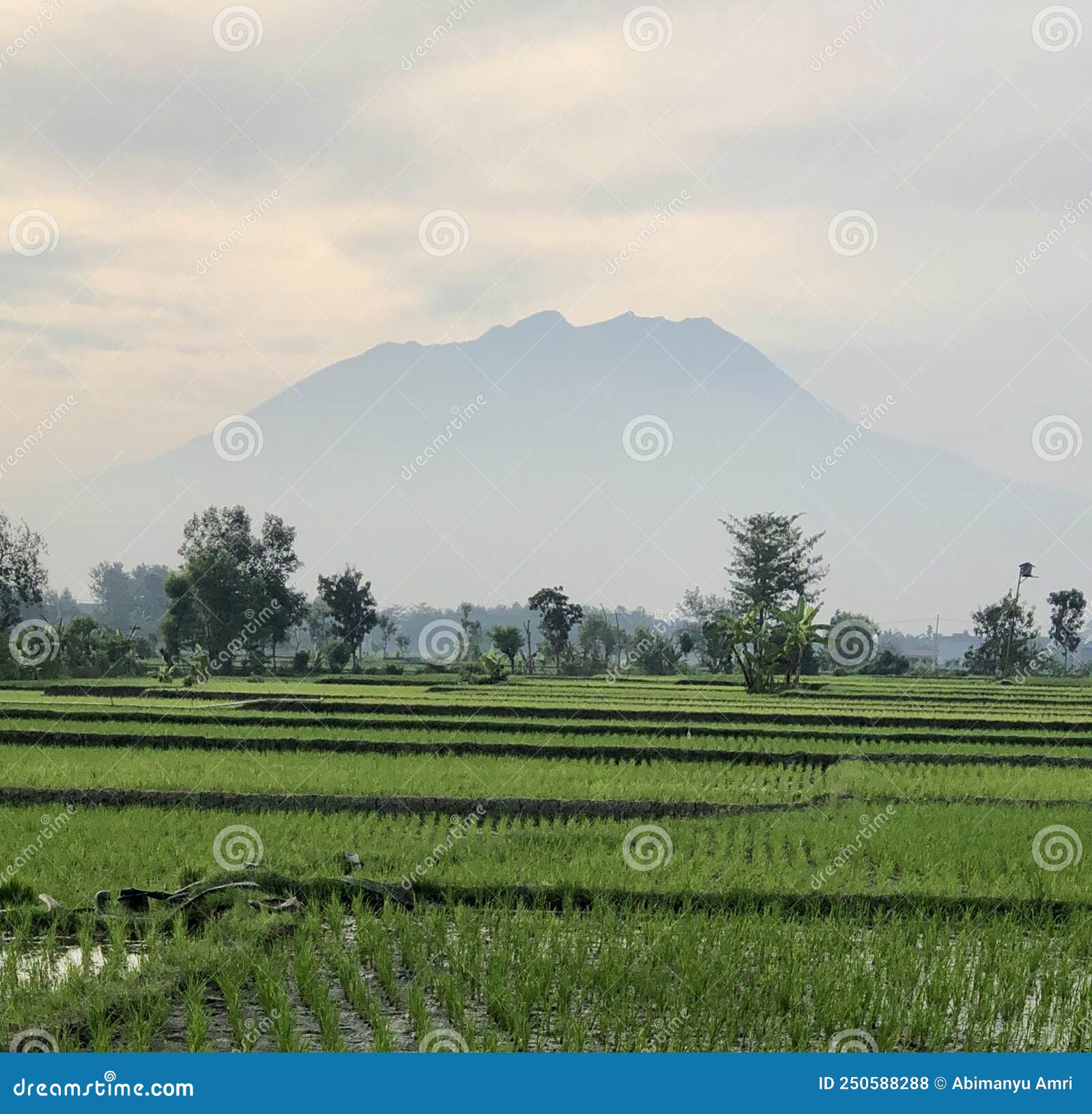 Mount Lawu from Karanganyar Stock Photo - Image of green, mountain ...
