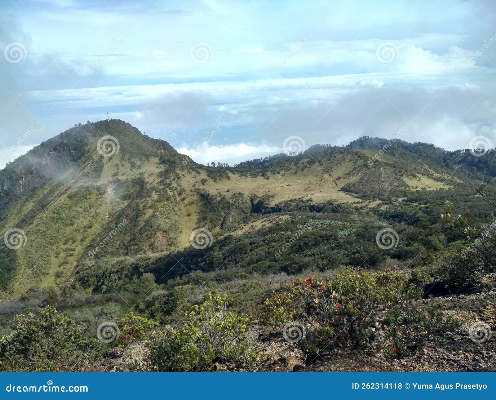 Mount Lawu stock photo. Image of geology, lawu, valley - 262314118