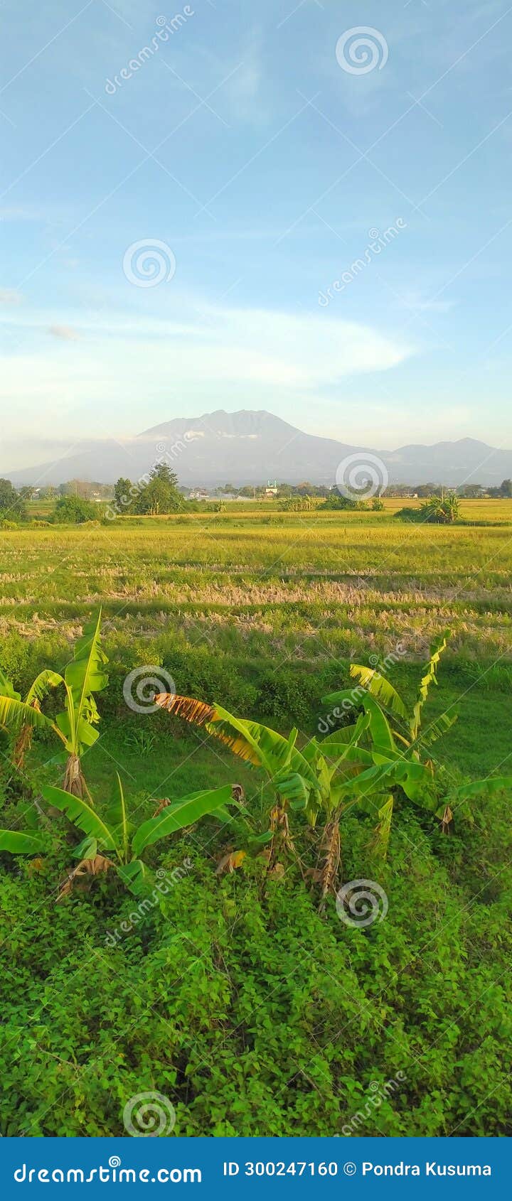 Mount Lawu,one of the Highest Mountains in Indonesia Stock Photo ...