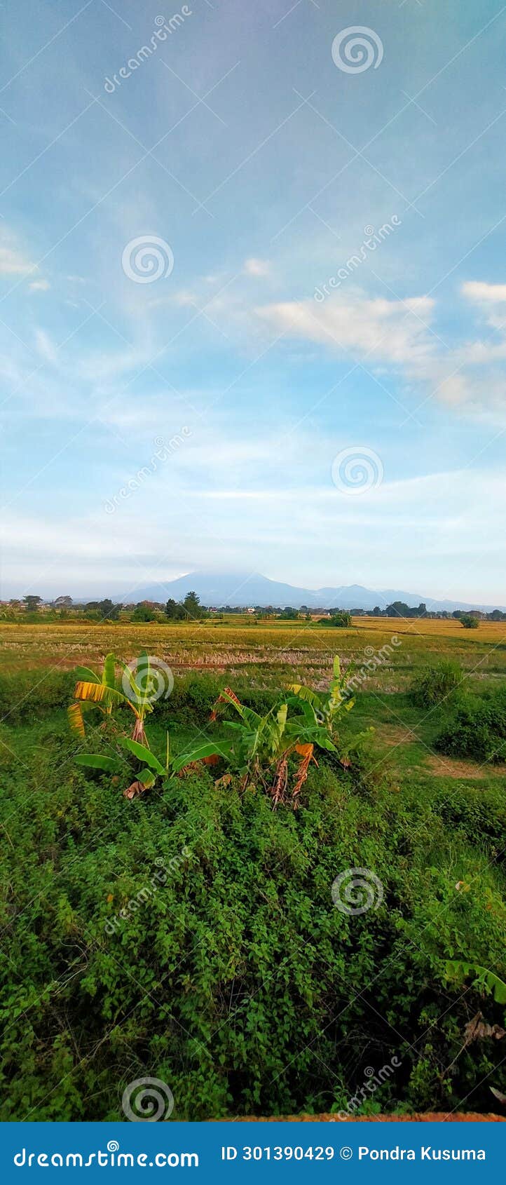 Mount Lawu, One of the Highest Mountains in Indonesia Stock Image ...