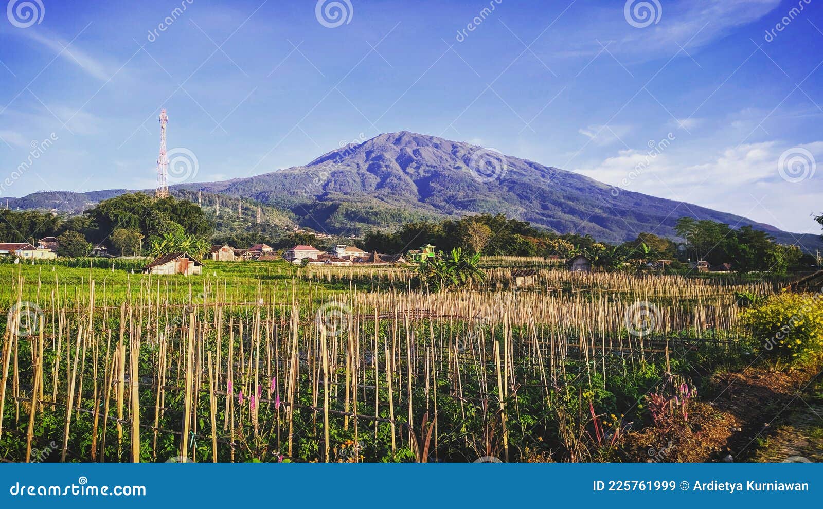 Mount lawu rising stock image. Image of nature, mount - 225761999