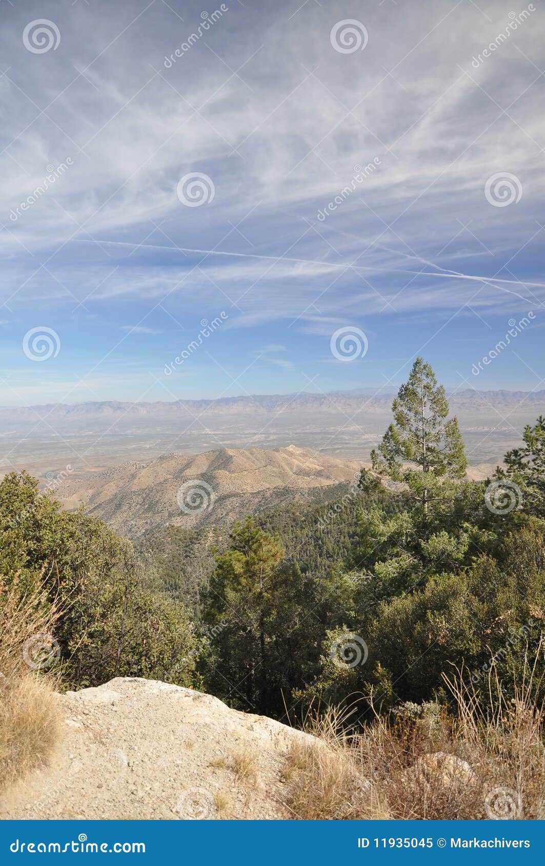 Mount Lemmon, Arizona stock image. Image of tree, phoenix - 11935045