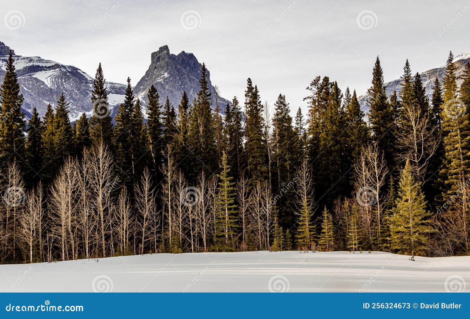 Mount Lougheed, Mount Lougheed Provincial Recreation Area, Alberta ...