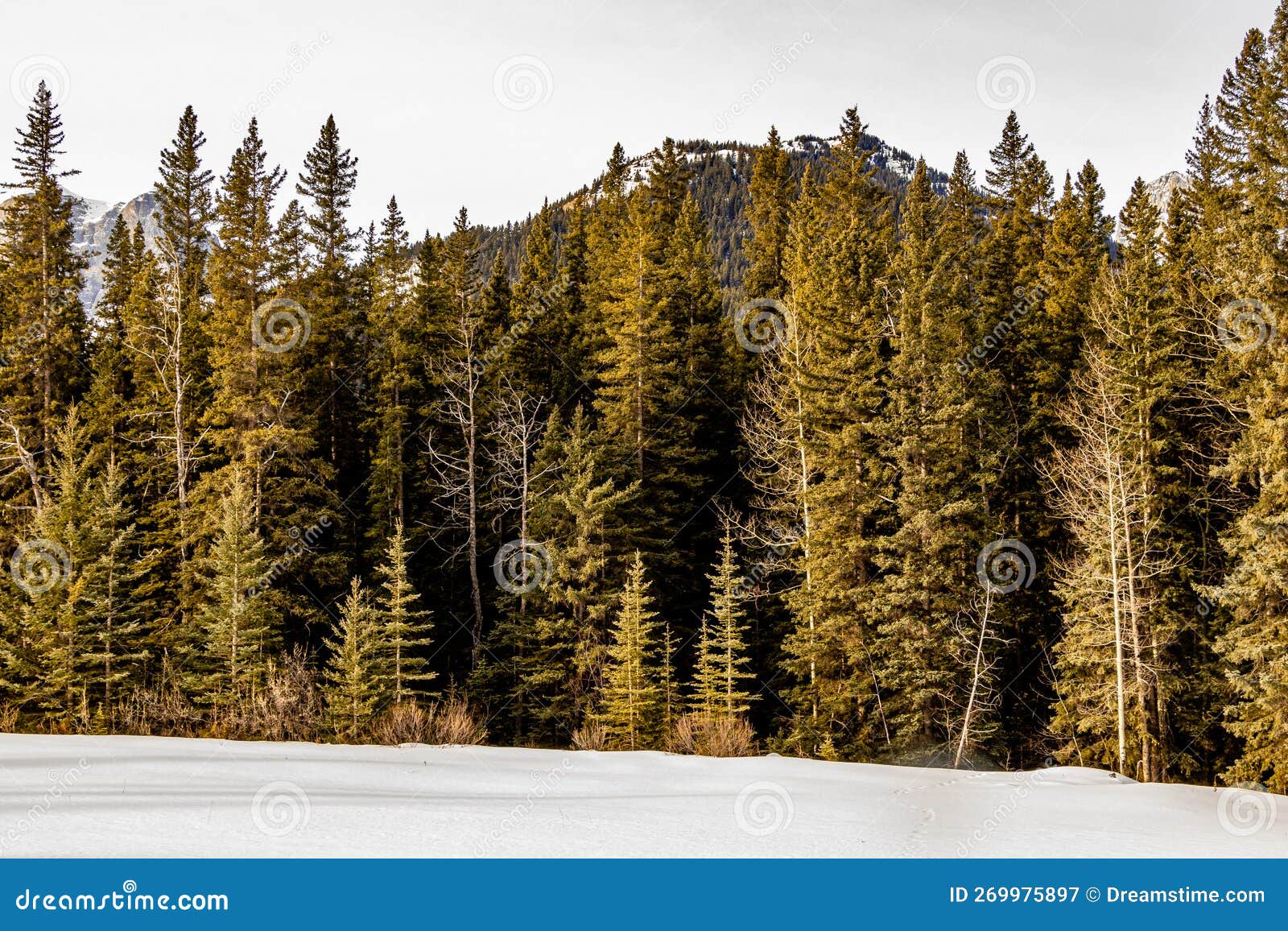 Mount Lougheed Provincial Recreation Area, Alberta, Canada Stock Image ...
