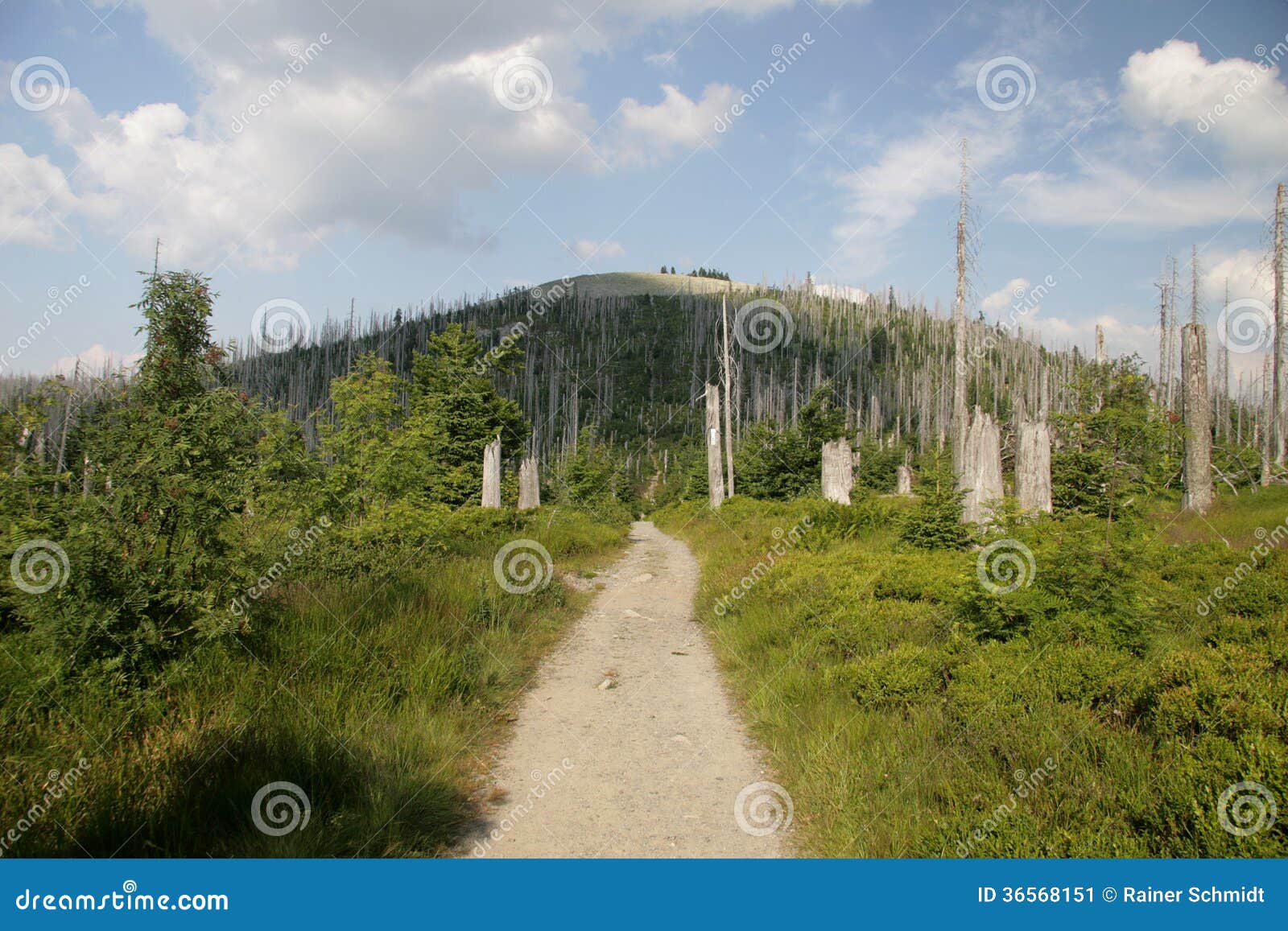 Mount Lusen stock image. Image of national, mount, hike - 36568151