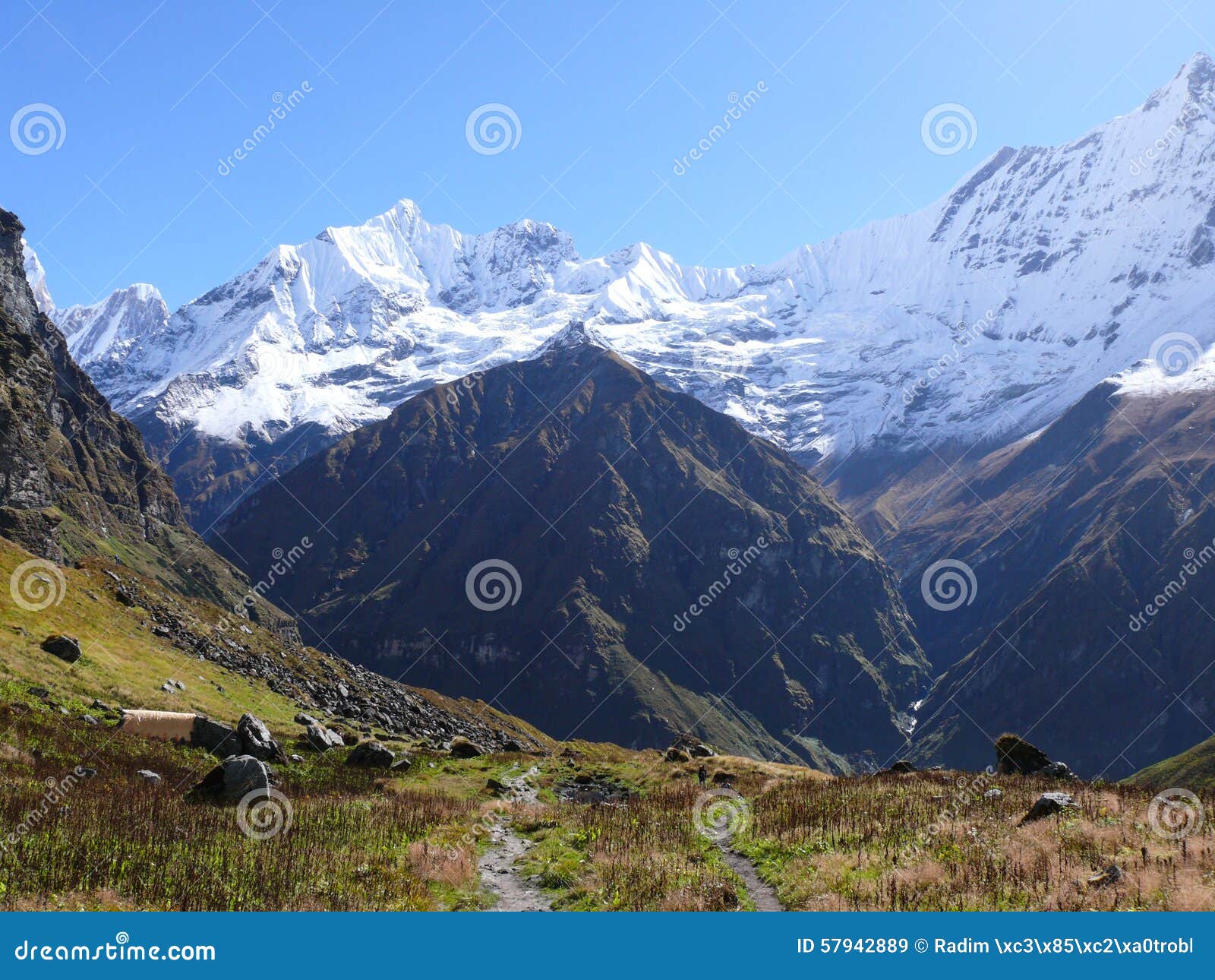 Mount Machhapuchchhre from Annapurna Base Camp Stock Image - Image of ...