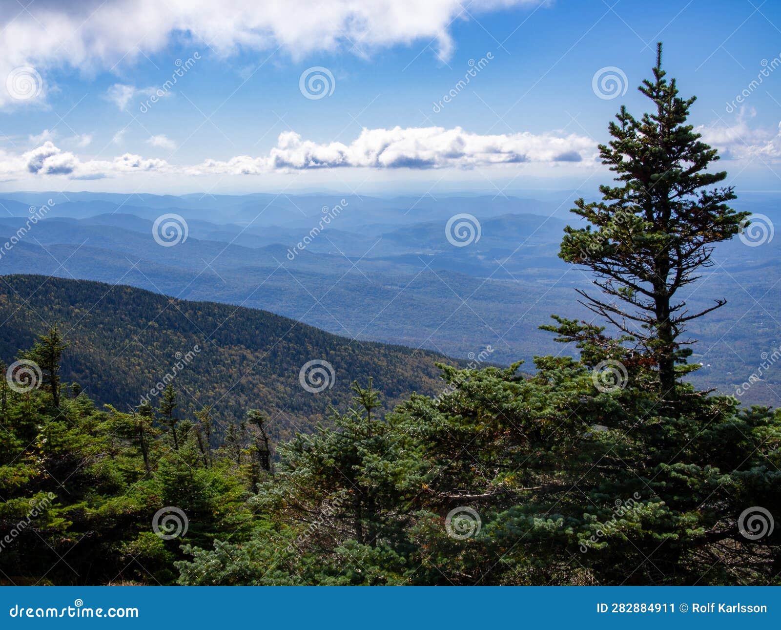 View Over the Surrounding Landscape from Mount Mansfield with a Pine in ...