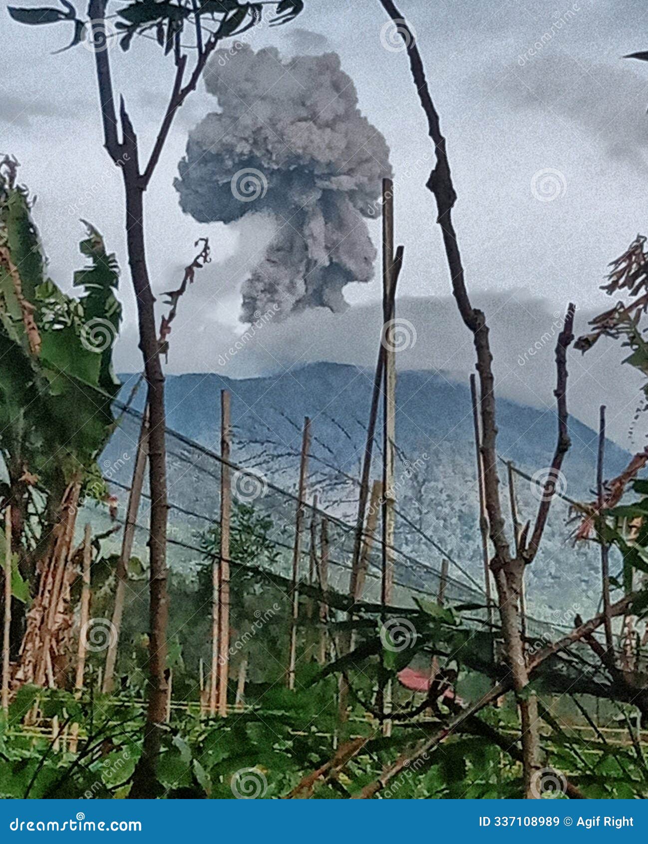 Mount Marapi stock image. Image of grass, nature, eruption - 337108989