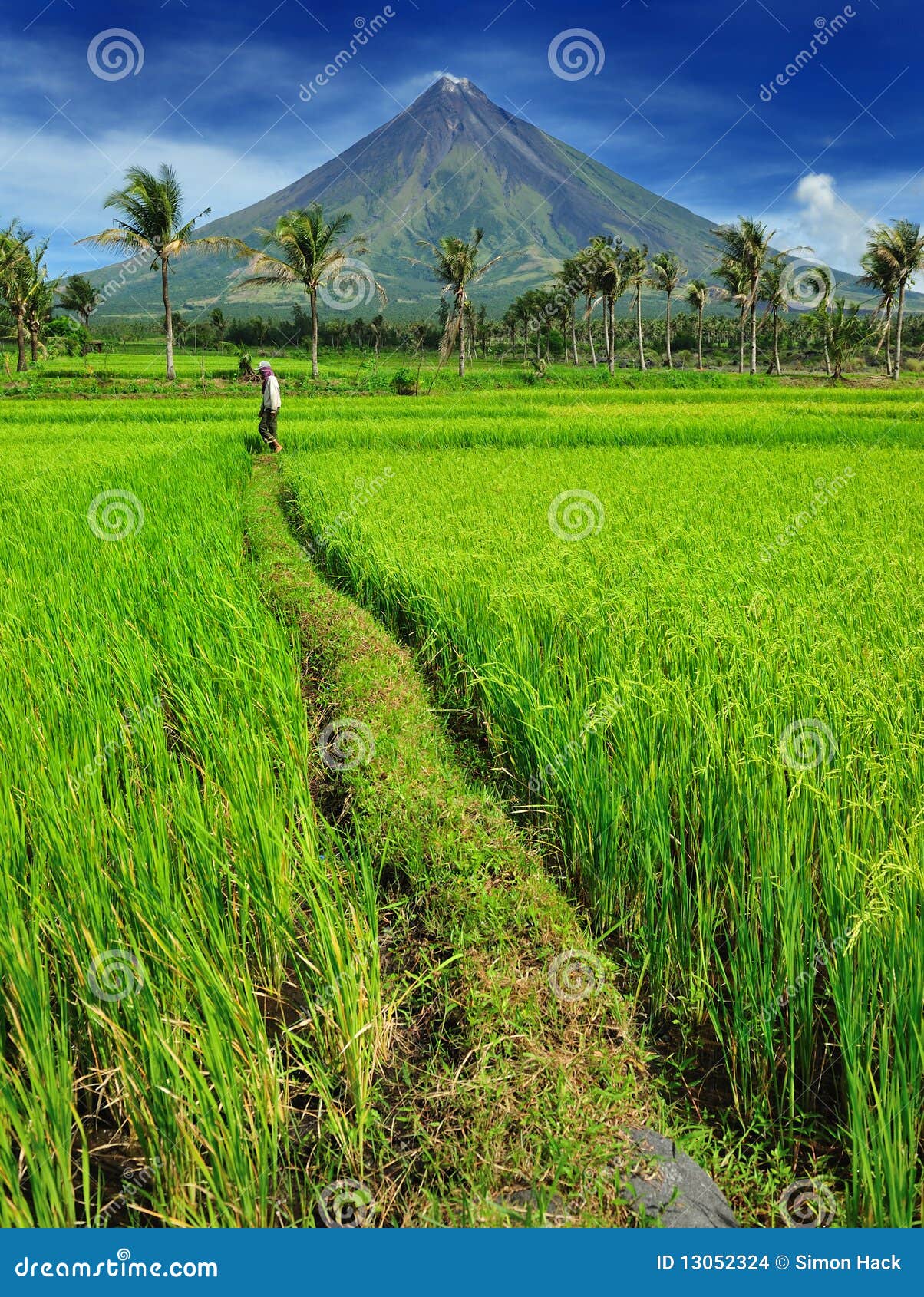 Mount Mayon Volcano Philippines Stock Image | CartoonDealer.com #4328125