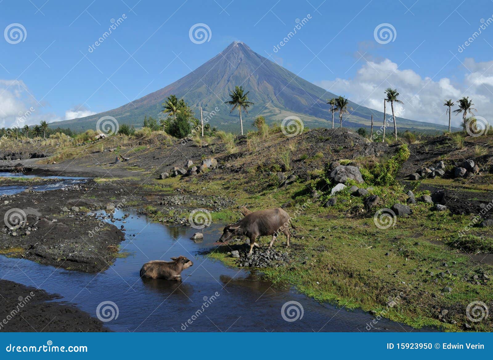 Mount Mayon Volcano stock photo. Image of outdoor, stream - 15923950