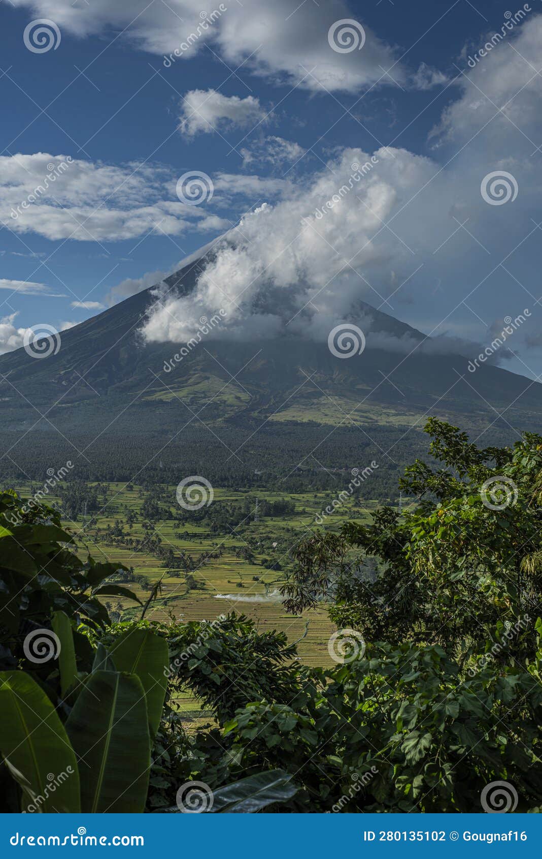 Mount Mayon Volcano in the Philippines Stock Photo - Image of flower ...