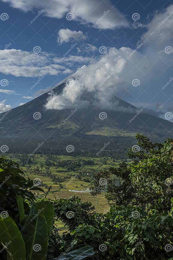 Mount Mayon Volcano in the Philippines Stock Photo - Image of flower ...