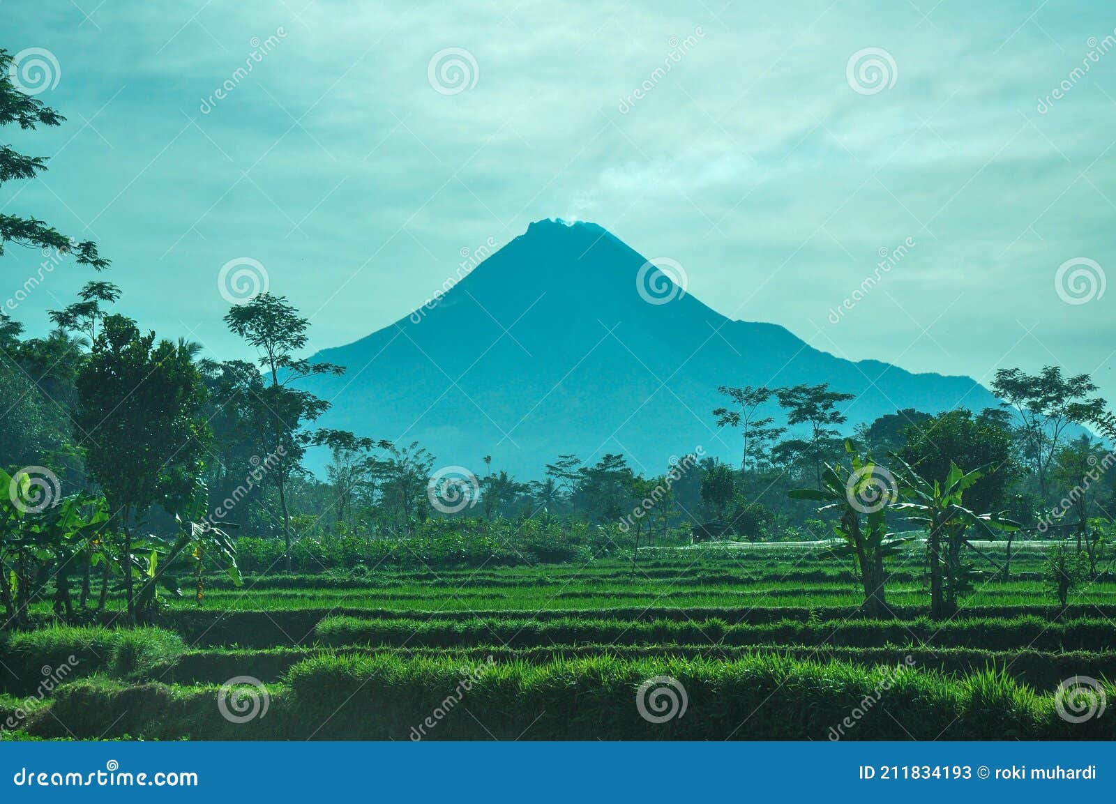 Mount of merapi stock image. Image of merapi, hill, landscape - 211834193