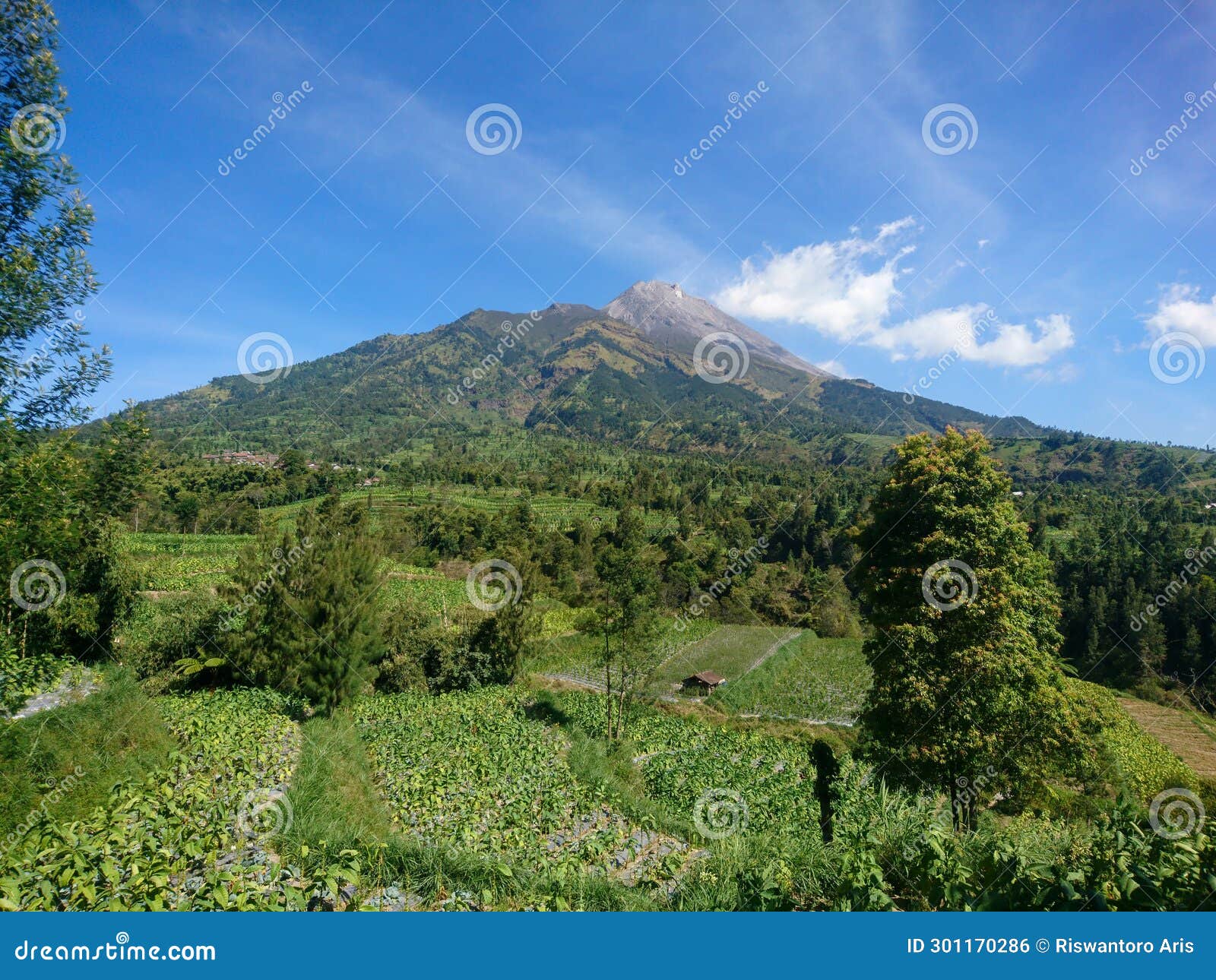 Mount Merapi Full View Selo Stock Photo - Image of nature, travell ...