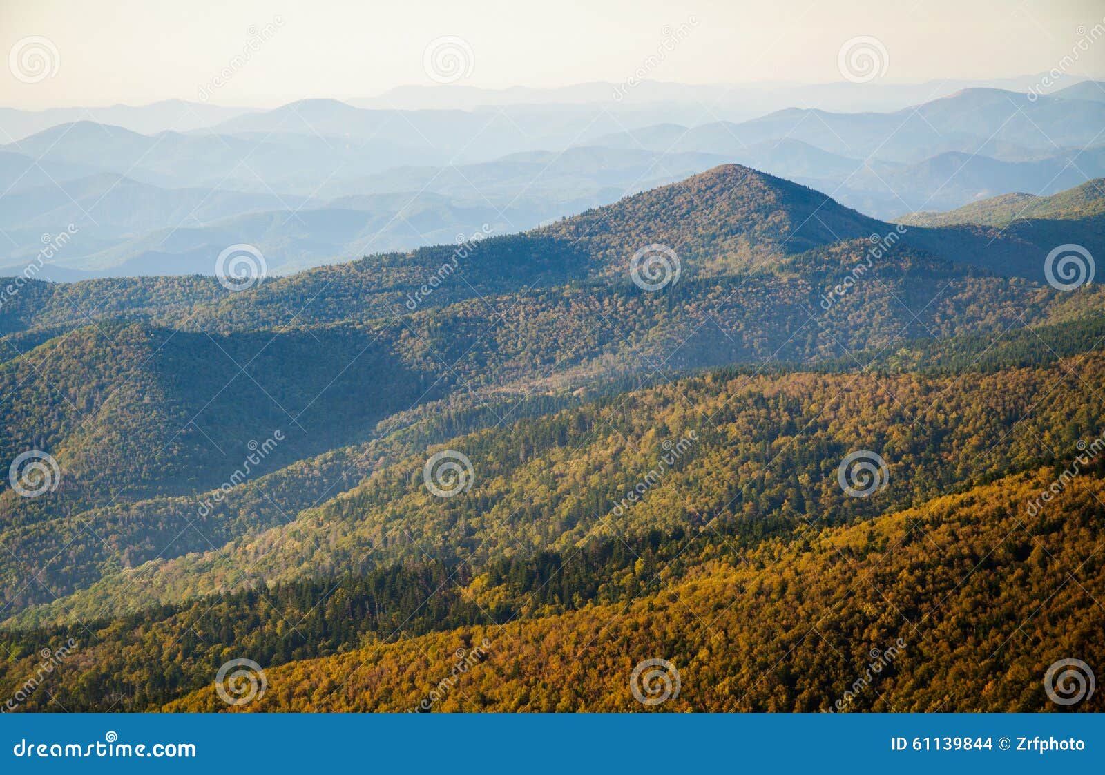 Mount Mitchell State Park stock photo. Image of mount - 61139844
