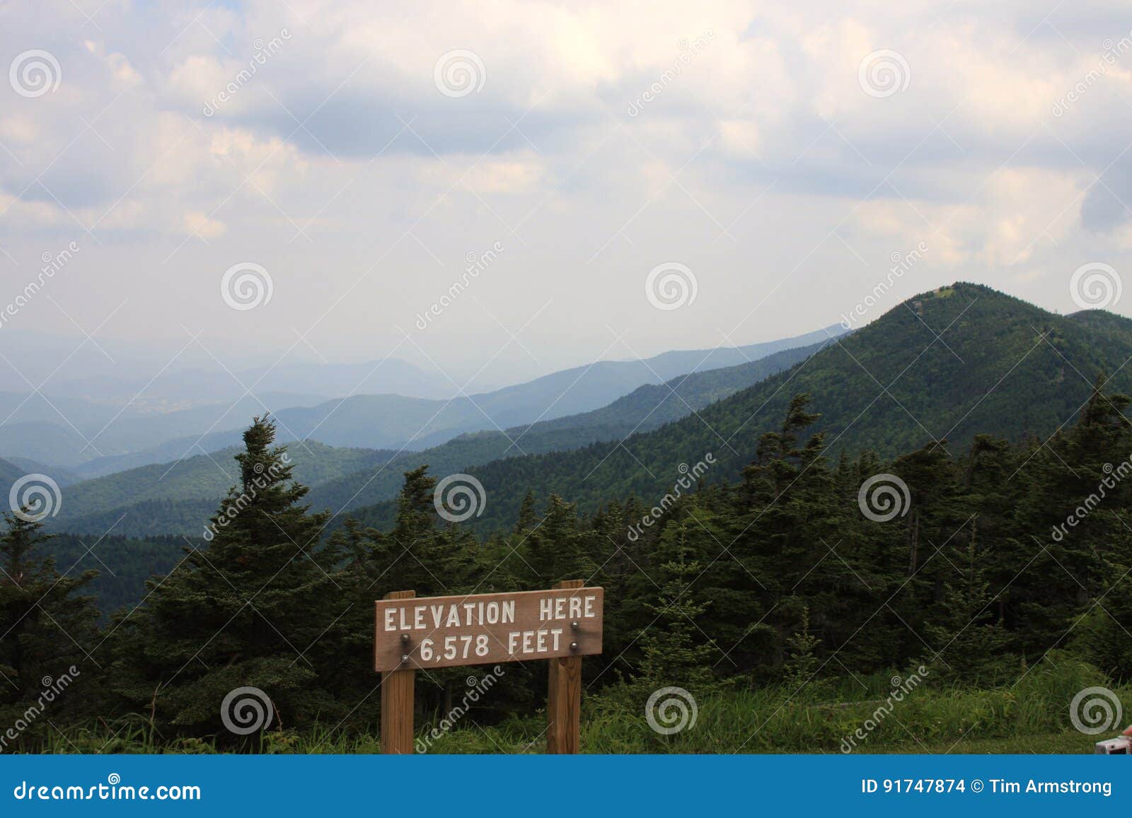 Mount Mitchell State Park Summit Stock Photo - Image of mount, mitchell ...