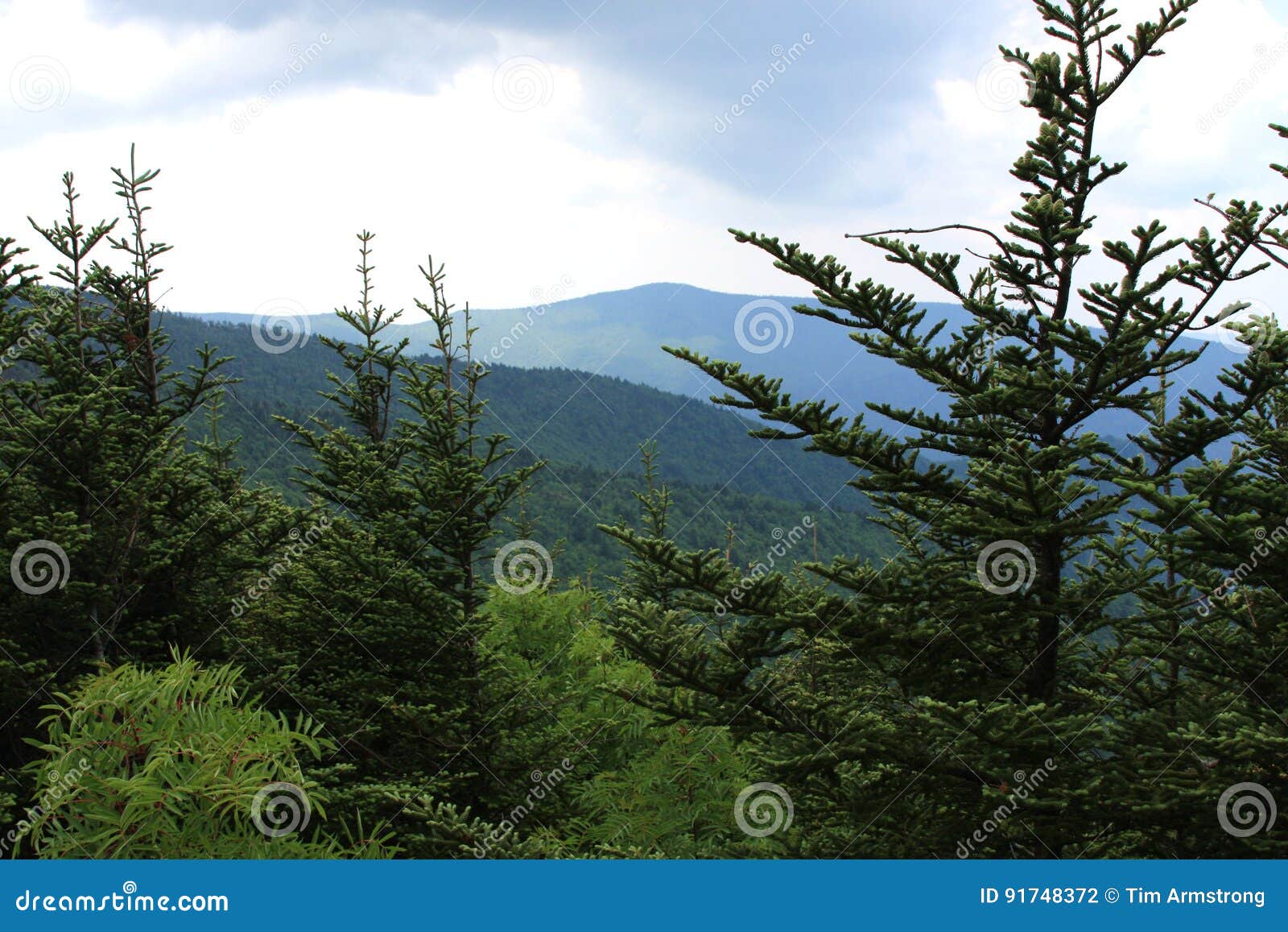 Mount Mitchell State Park View Stock Photo - Image of mount, carolina ...