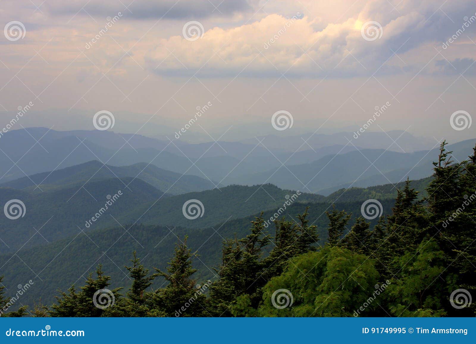 Mount Mitchell State Park View Stock Image - Image of vista, north ...
