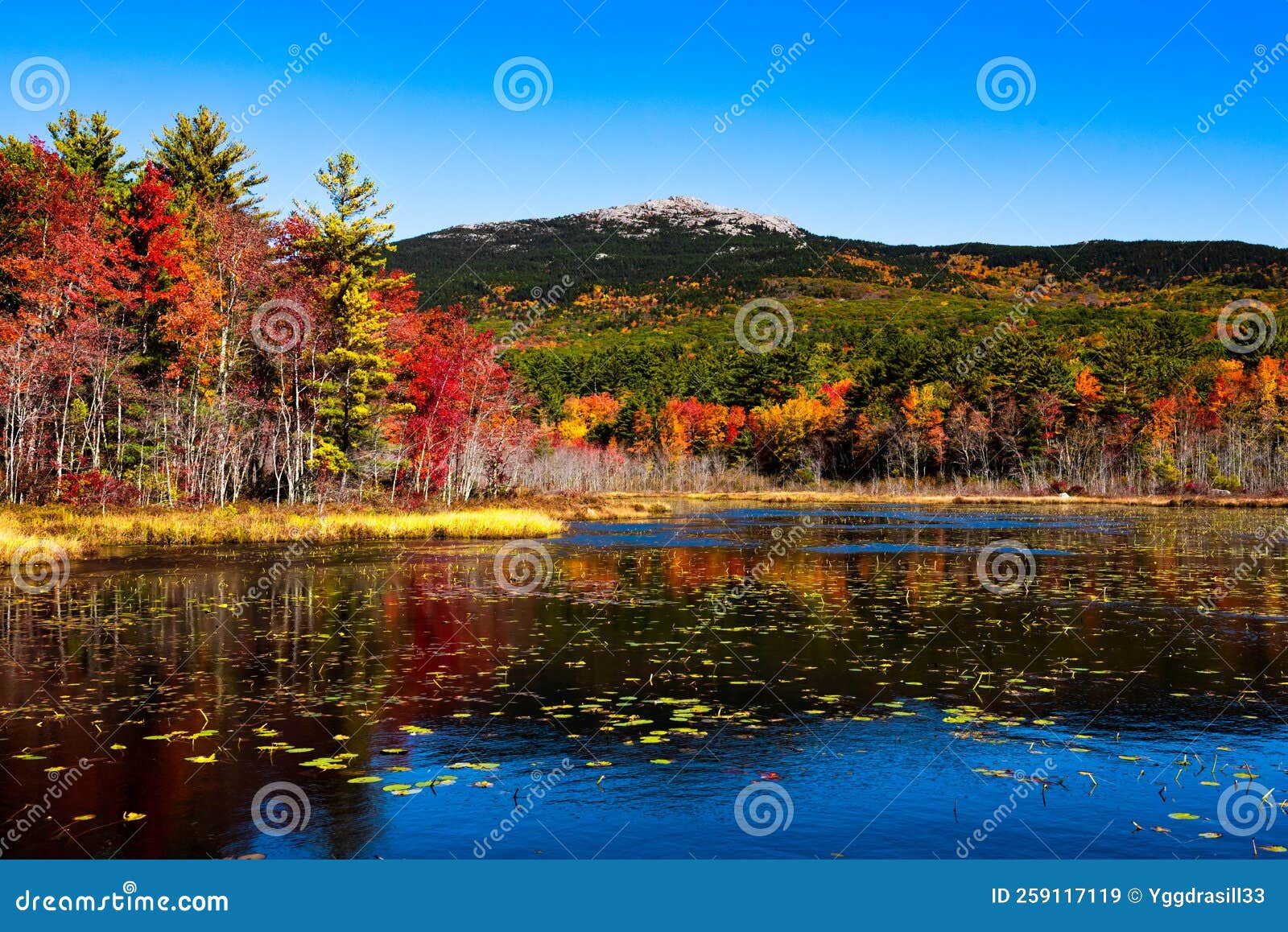 Mount Monadnock in New Hampshire Stock Image - Image of color, lilly ...