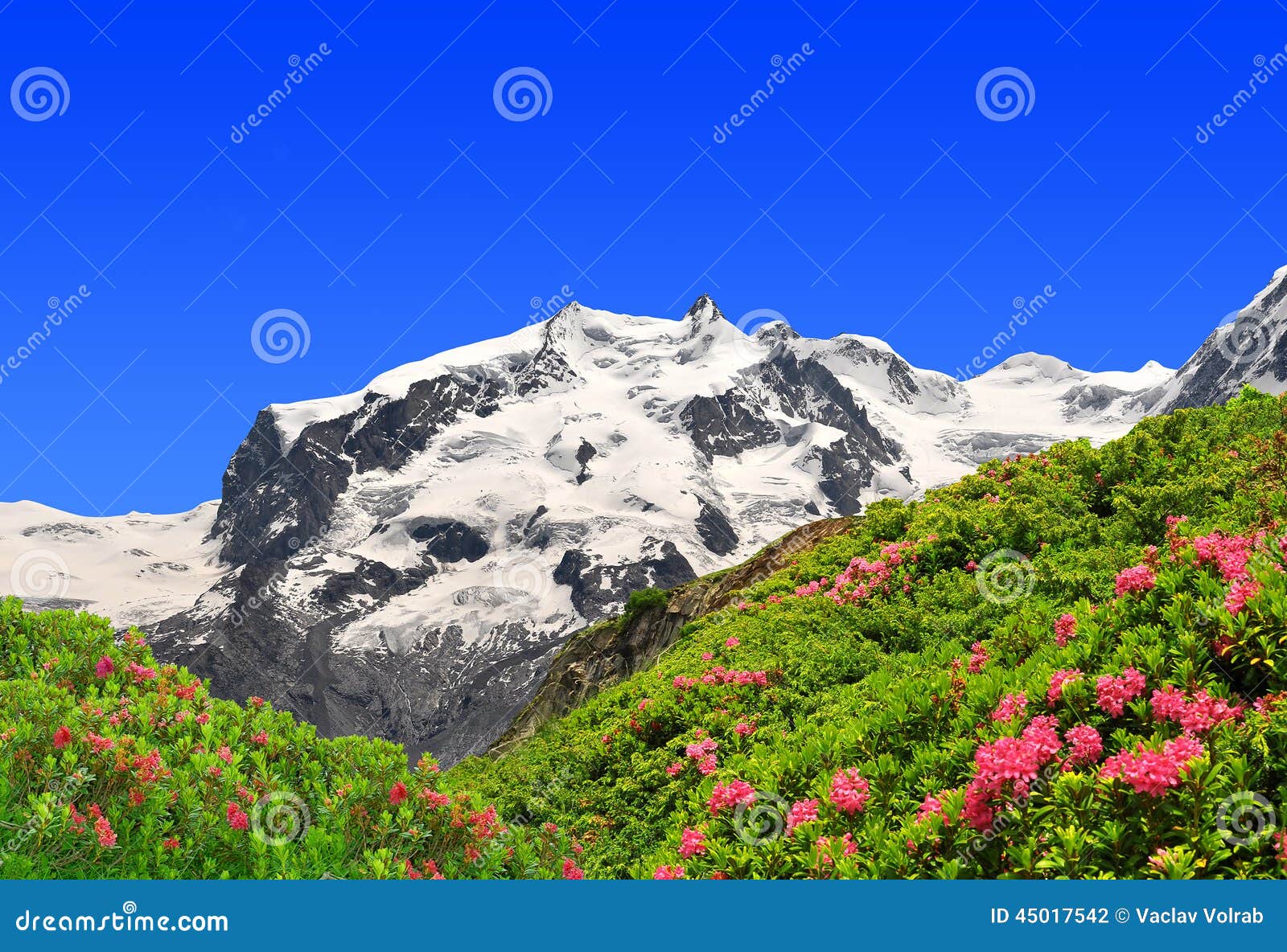 Mount Monte Rosa stock photo. Image of switzerland, alps - 45017542